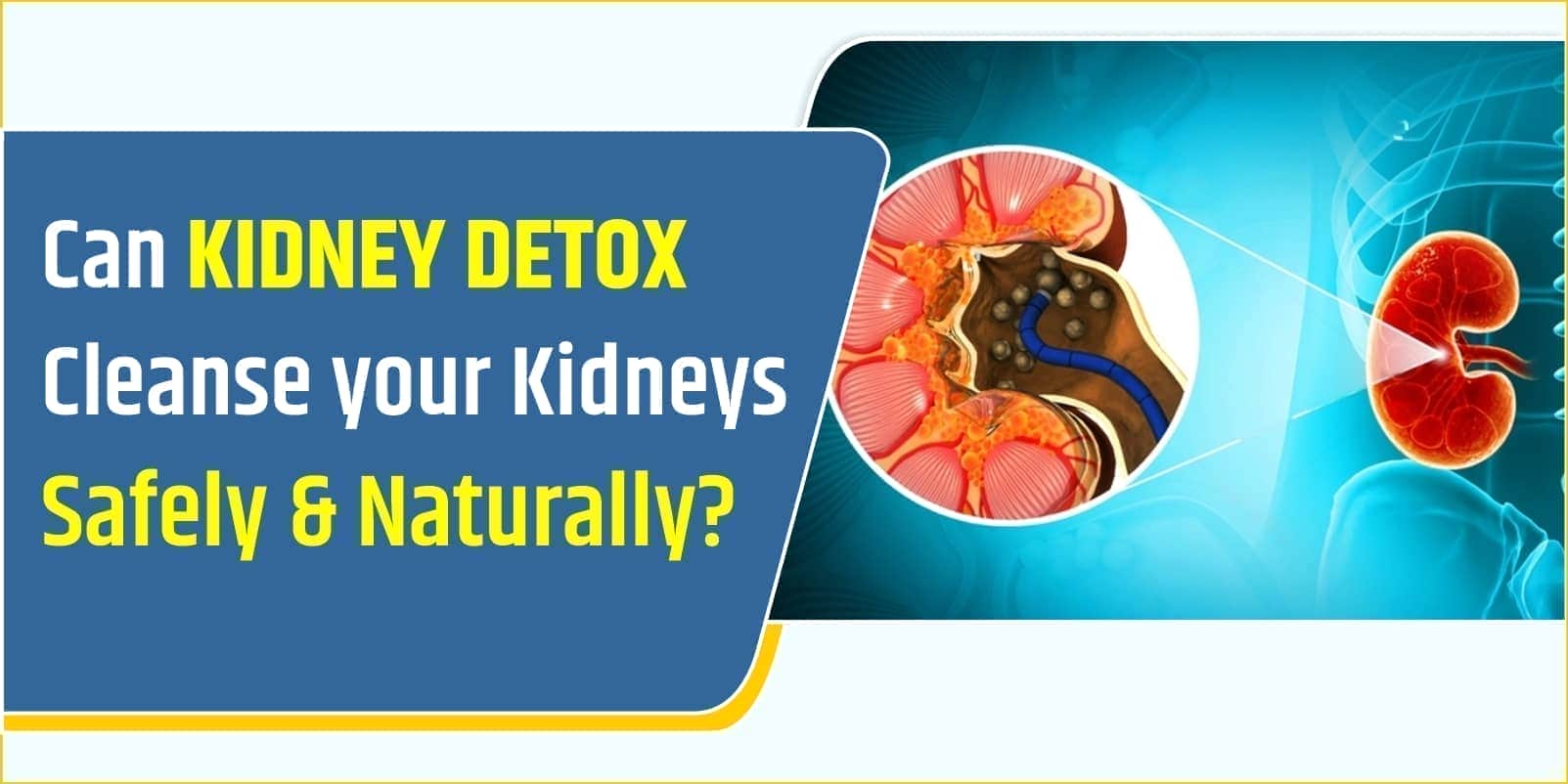 Kidney Detox Cleanse | Safe & Natural Kidney Health