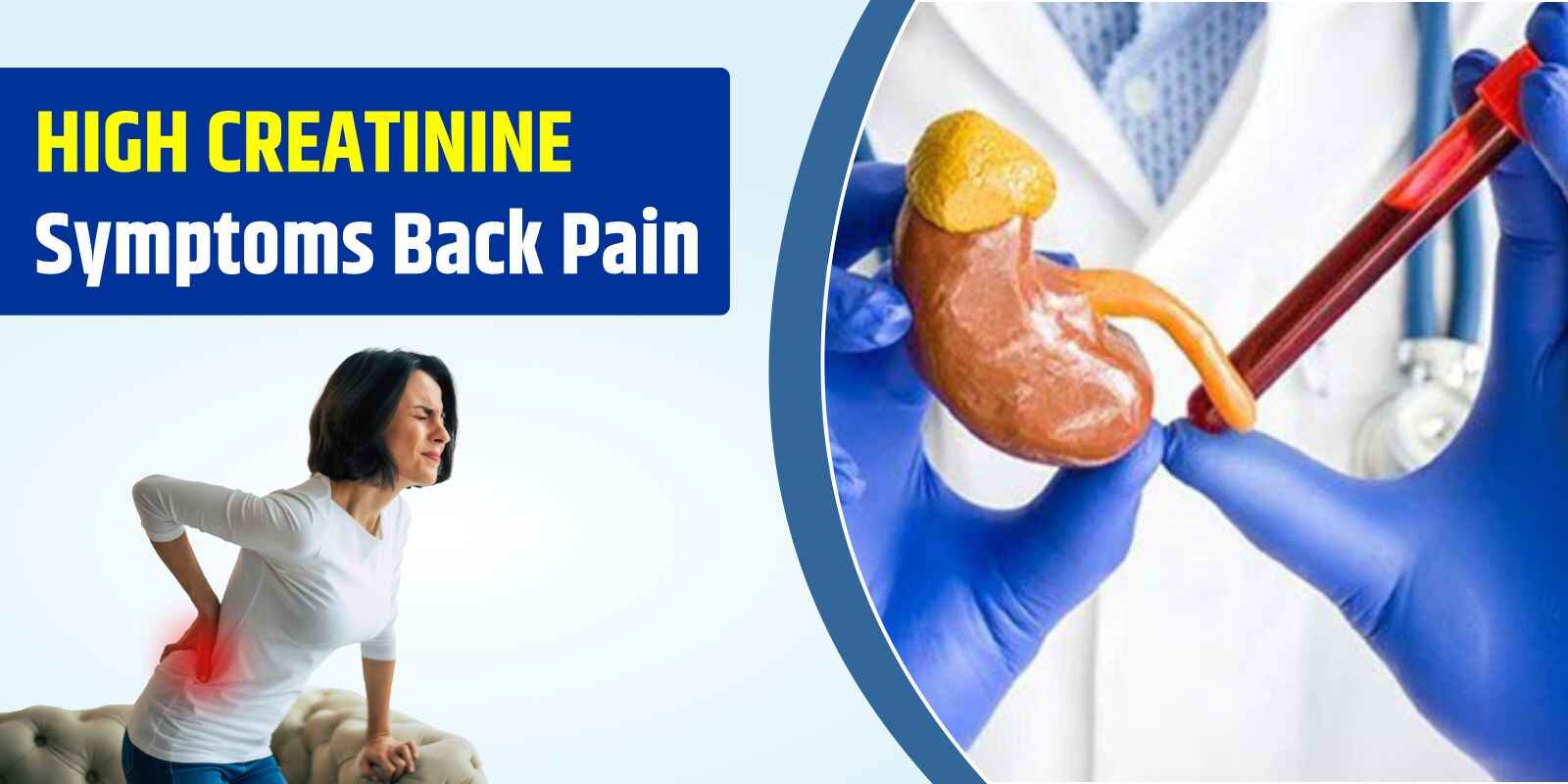 High Creatinine Symptoms and Back Pain | Health Guide