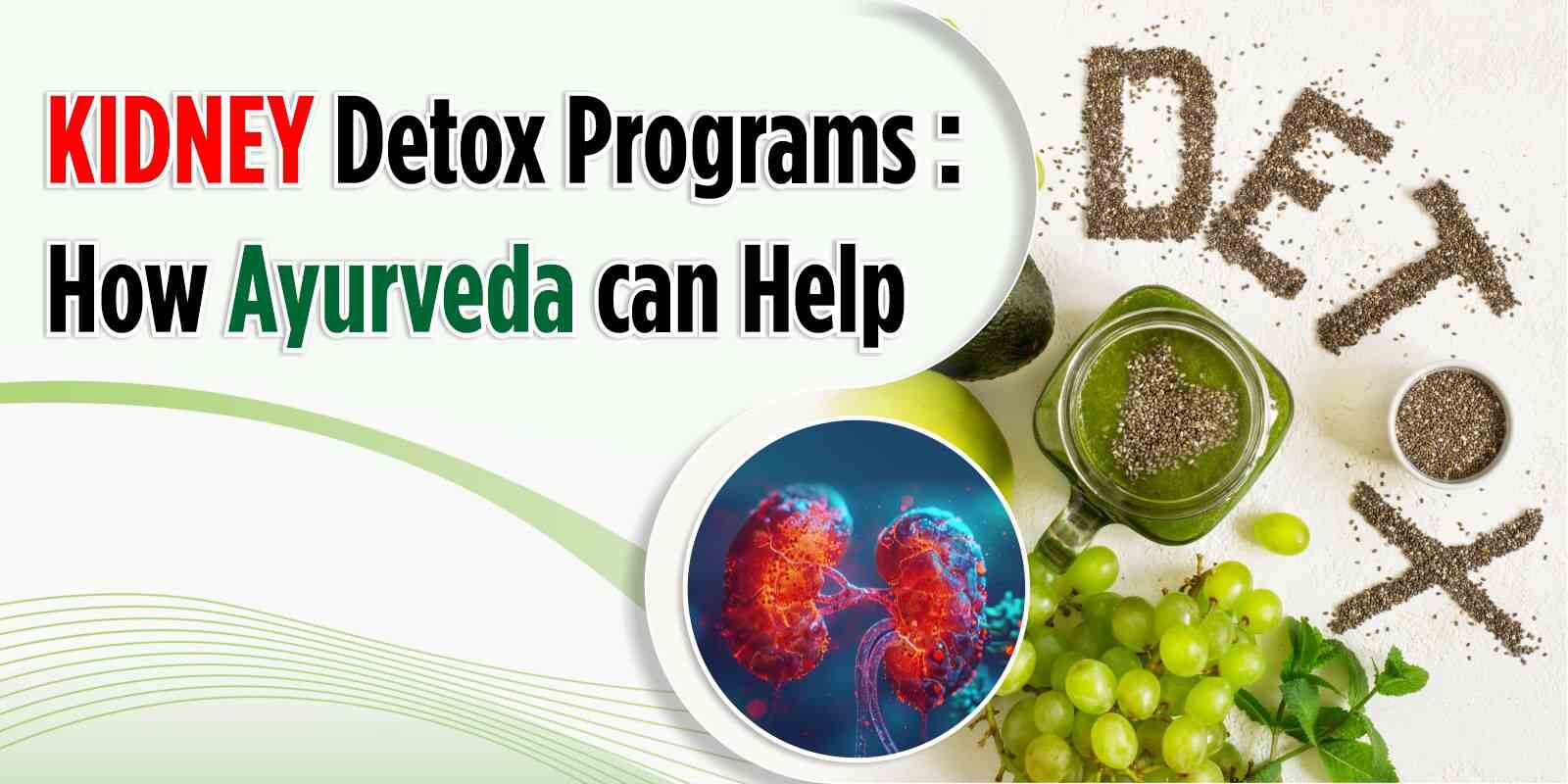 Kidney Detox Programs | How Ayurveda Can Help