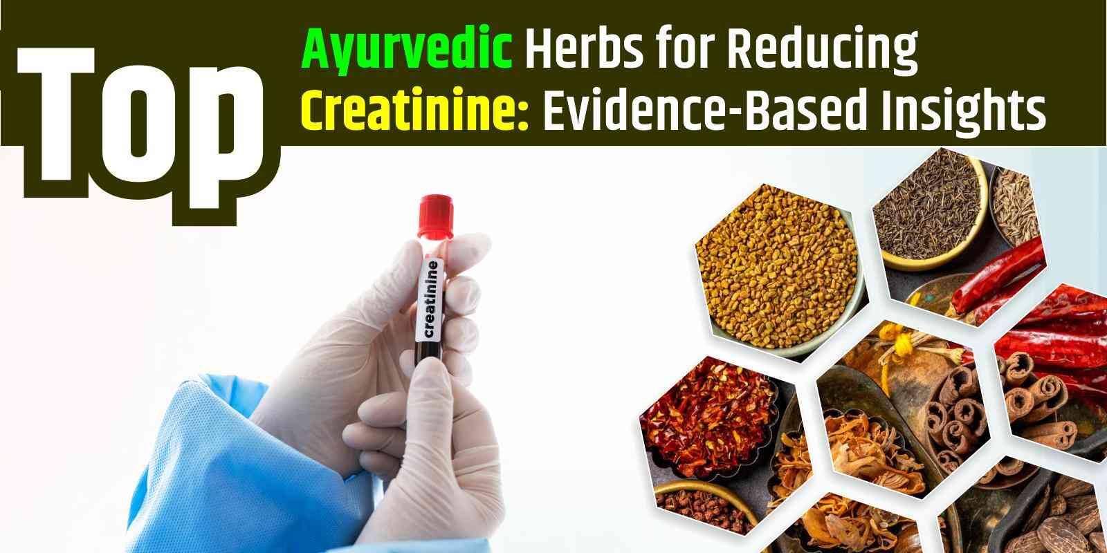 Maximum Creatinine Level for Kidney Failure - Ayurvedic Care