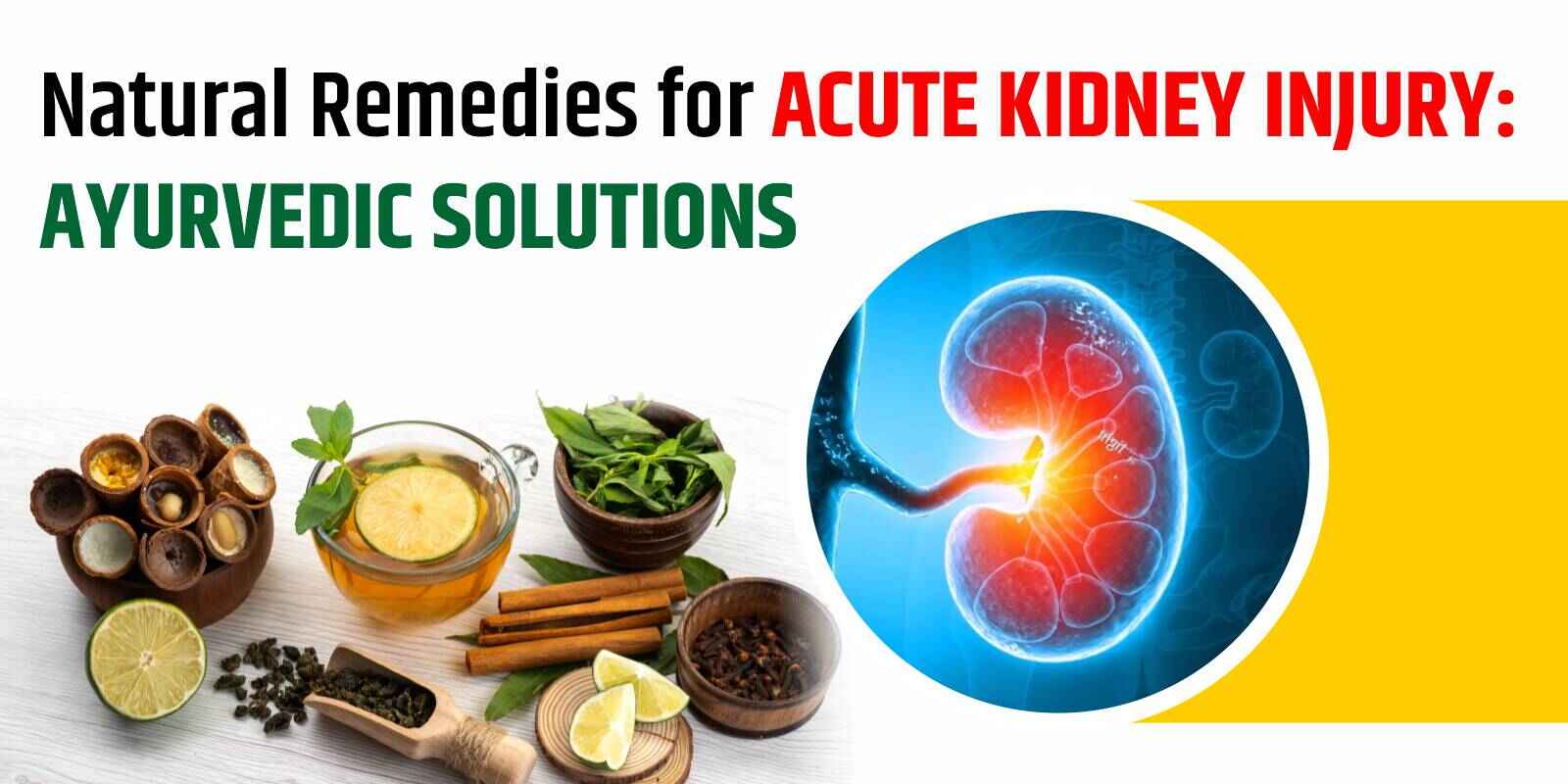 Diagnosis of Acute Renal Failure: Tests & Early Signs