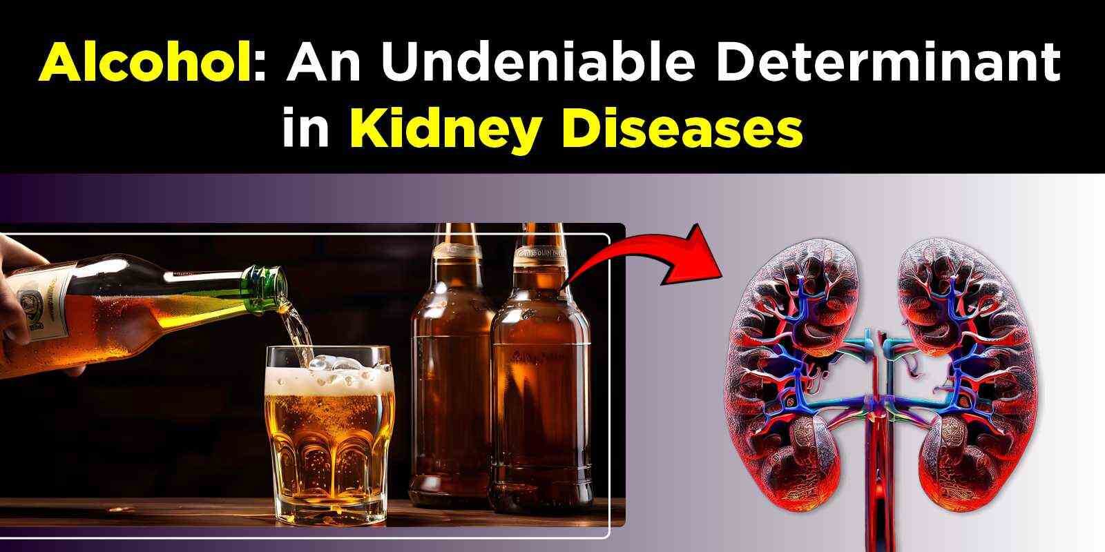 Alcoholâ€™s Role in Kidney Diseases: What You Need to Know