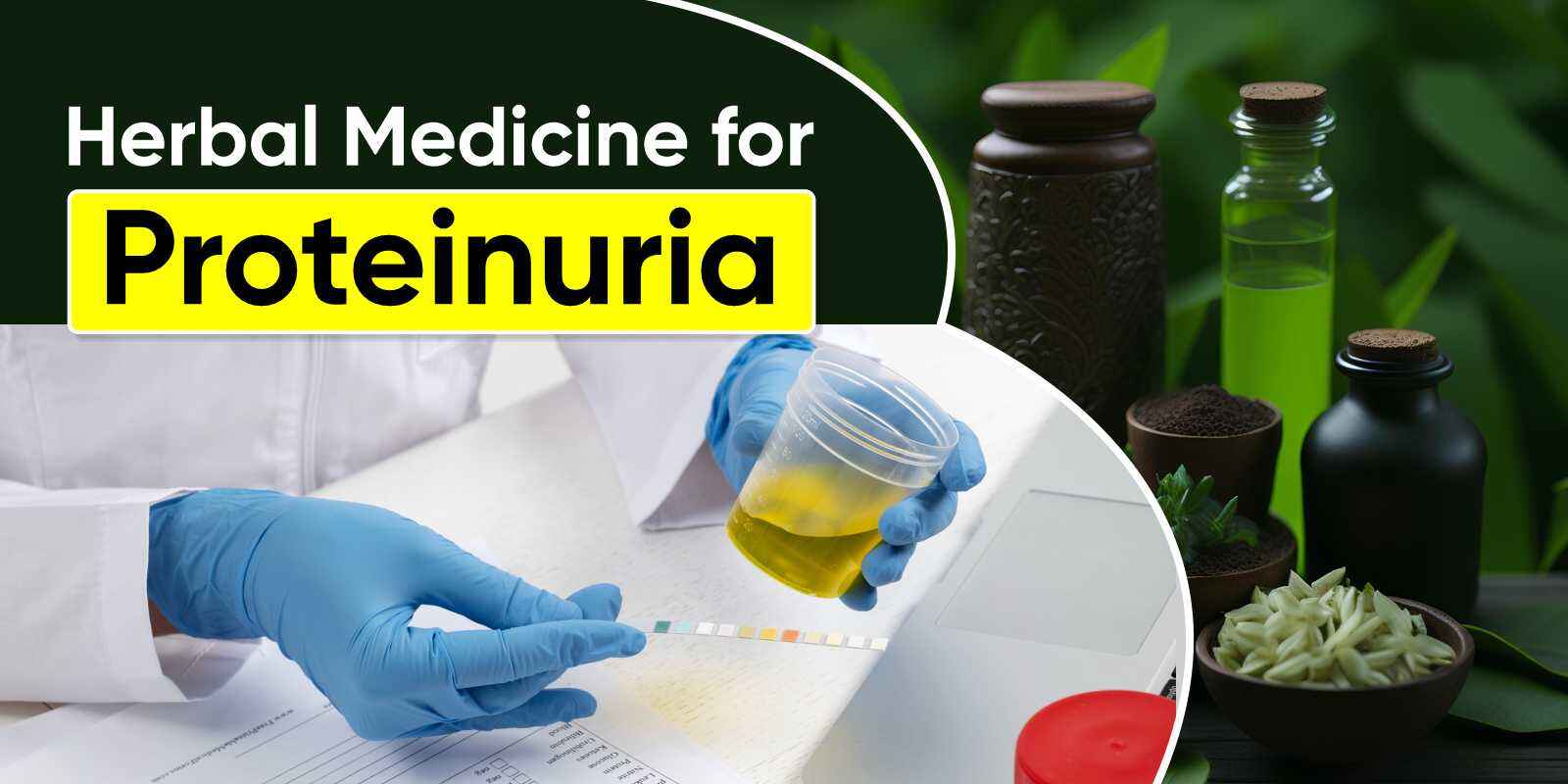 Herbal Medicine for Proteinuria: Natural Kidney Support