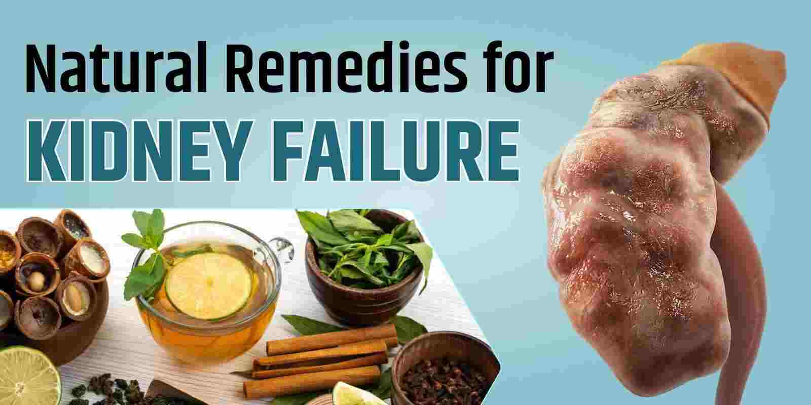 Natural Remedies for Kidney Failure: Effective Treatments