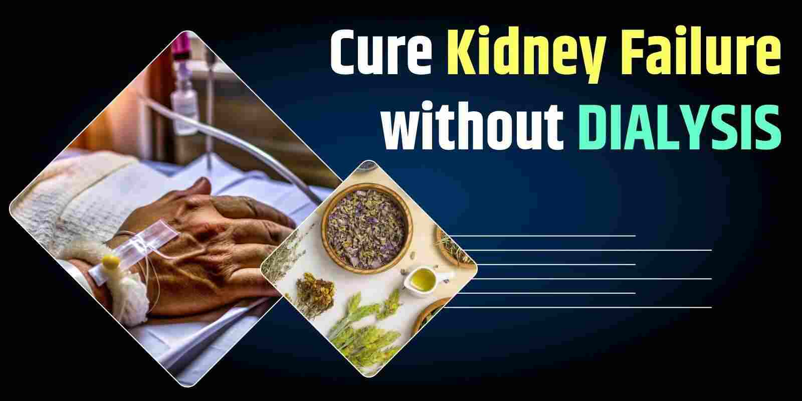 Cure Kidney Failure Without Dialysis: Natural Treatments