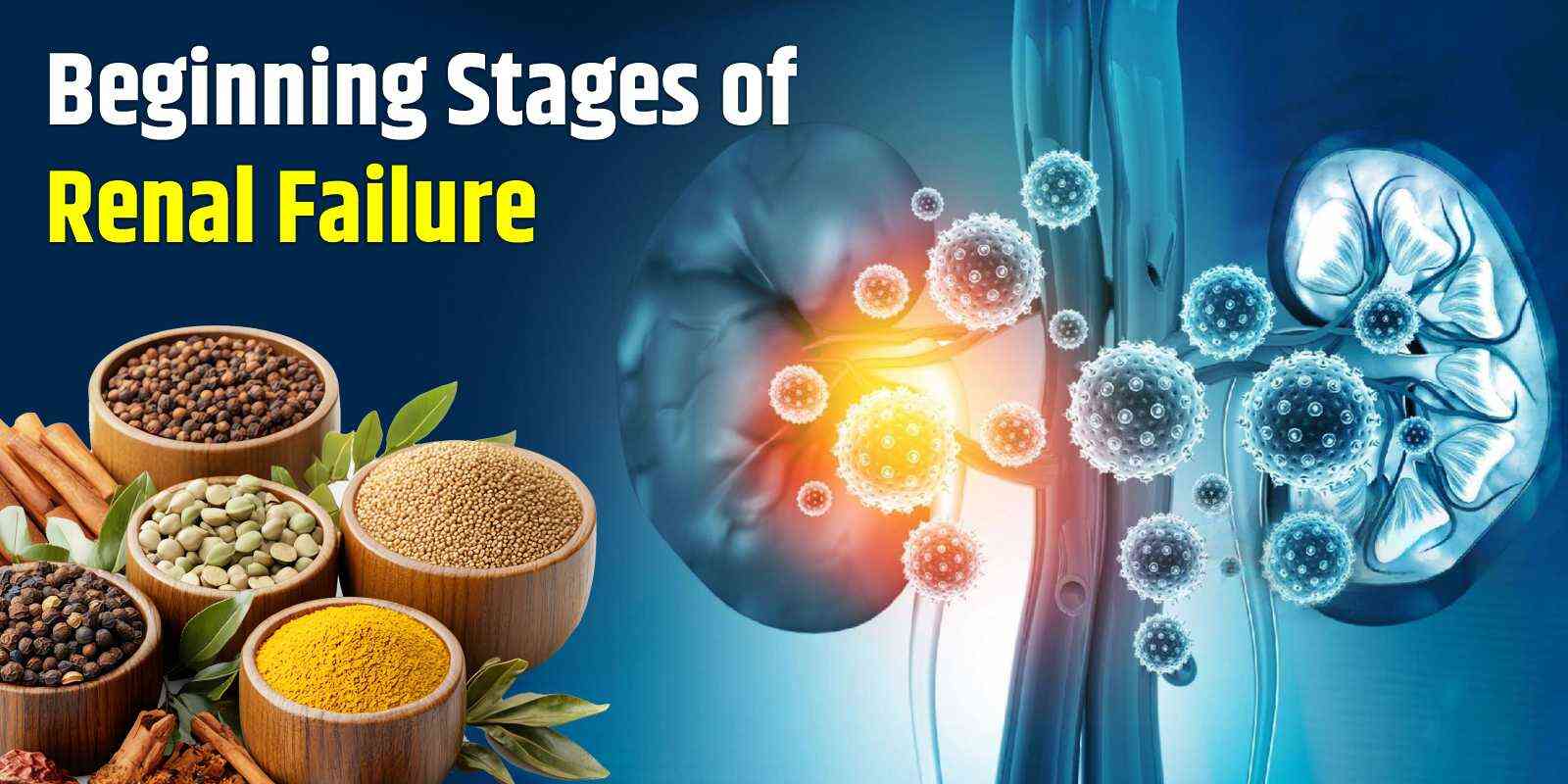 Beginning Stages of Renal Failure: Symptoms & Early Care