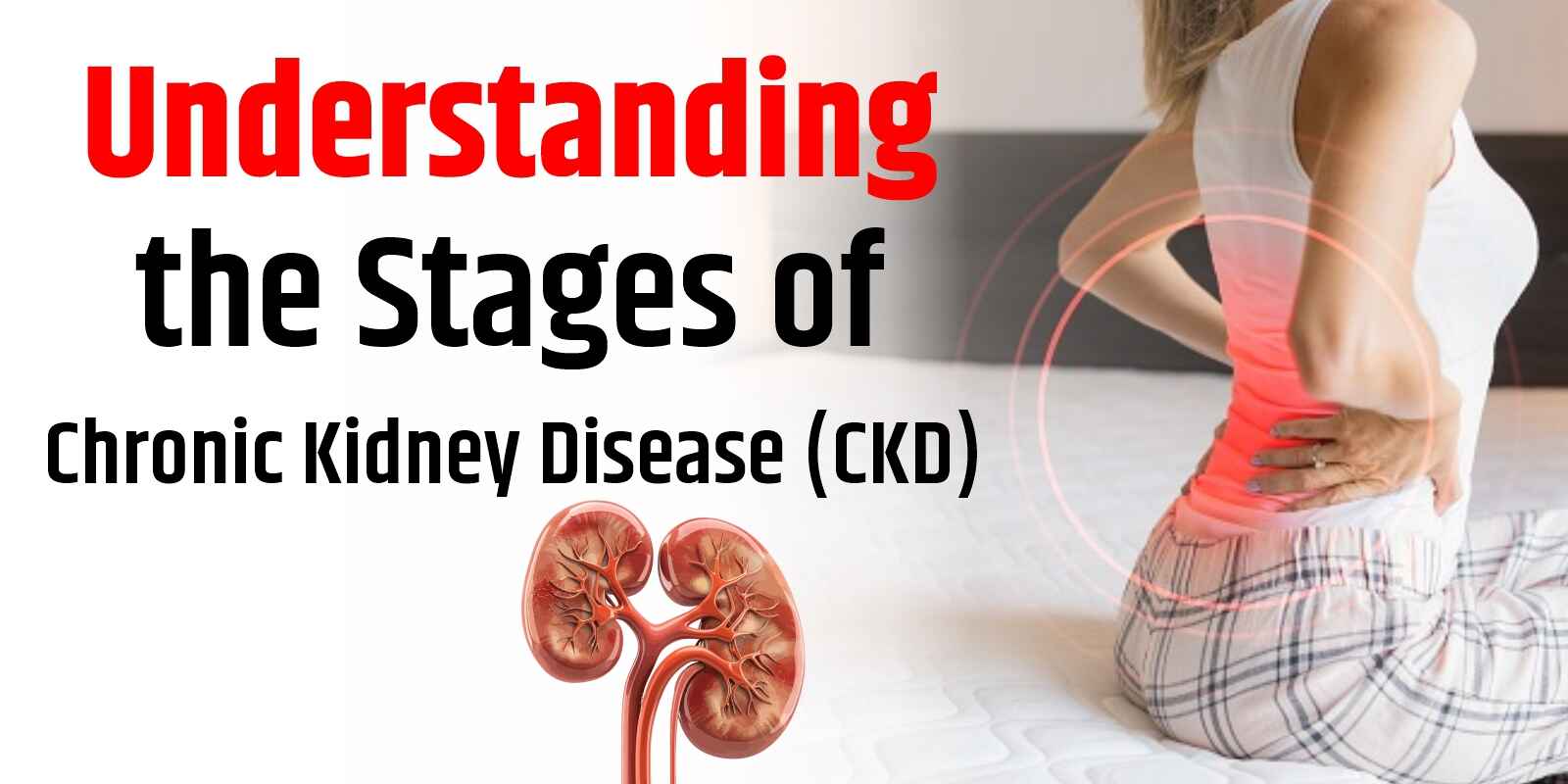 Polycystic Kidney Disease – A deep dive to its types and treatment