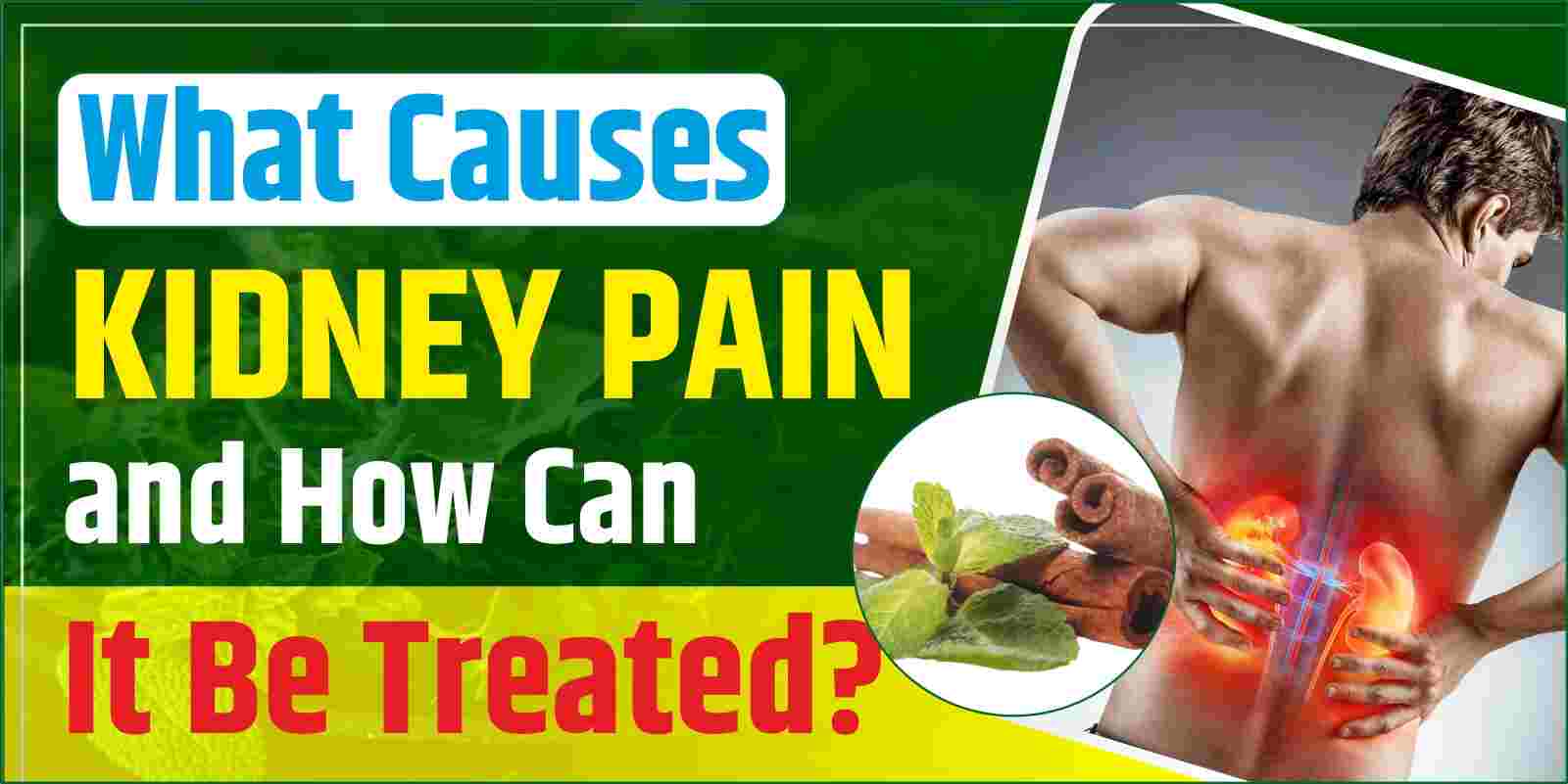 What Causes Kidney Pain? Symptoms & Effective Treatments
