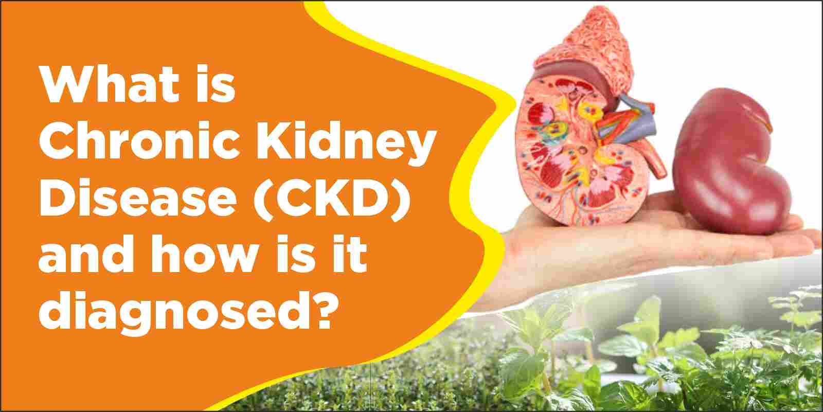 What Are The Levels Of Creatinine That Require Dialysis?