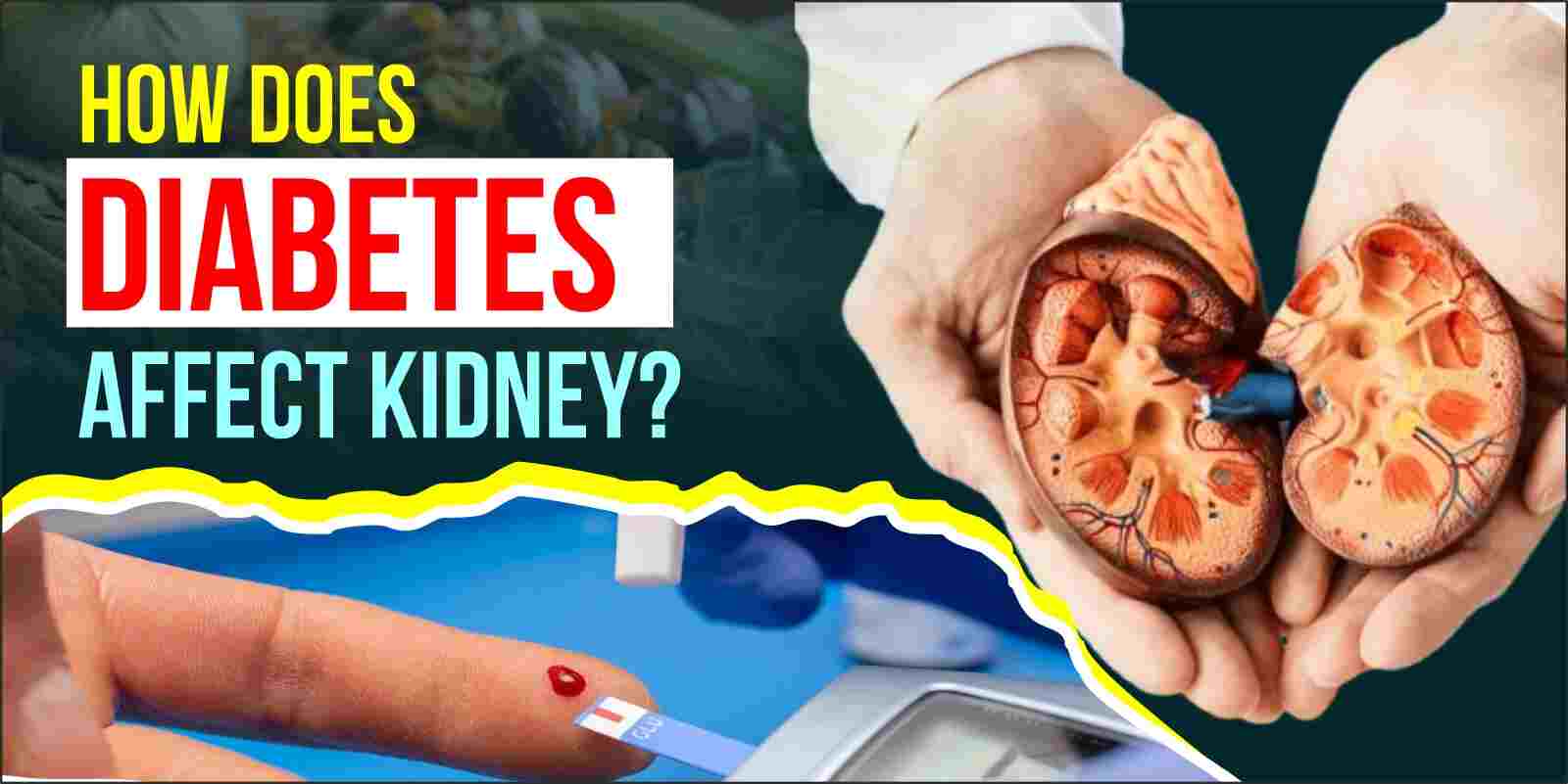 How Does Diabetes Affect the Kidneys? Risks & Prevention
