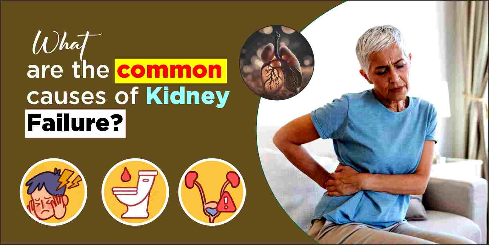Is Turmeric Bad for Kidney? Effects & Safe Usage Tips