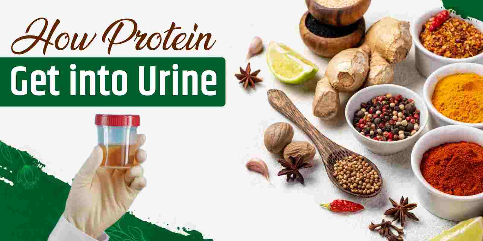 Daily Phosphorus Intake for CKD Patients - Essential Guidelines