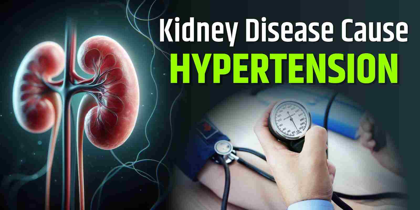 Kidney Disease & Hypertension: Natural Management Tips